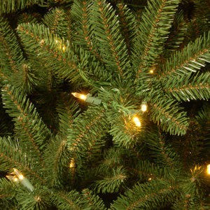 The Holiday Aisle® Natural Fraser Slim Fir Tree with Clear Lights ...