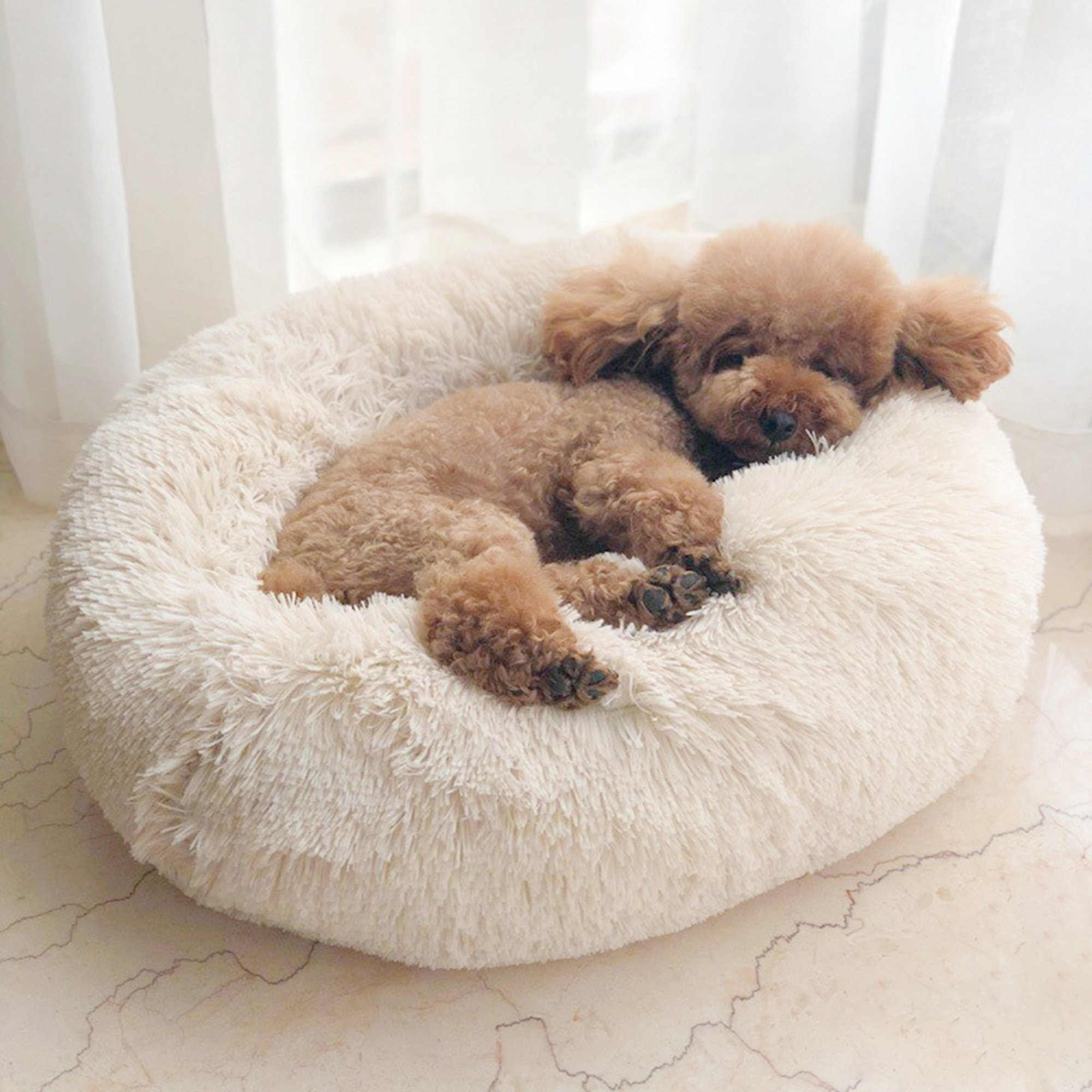 Wayfair Basics™ Albury Calming Round Donut Plush Dog Cuddler Bed ...