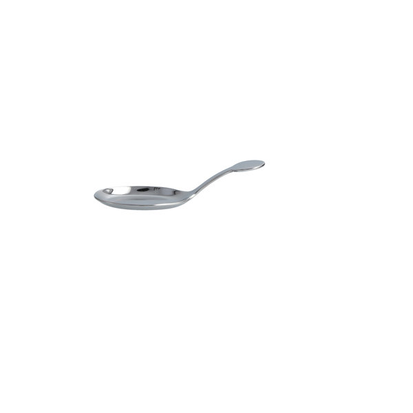 Fortessa Tapas Tasting Specialty Spoon 12 Guests | Wayfair