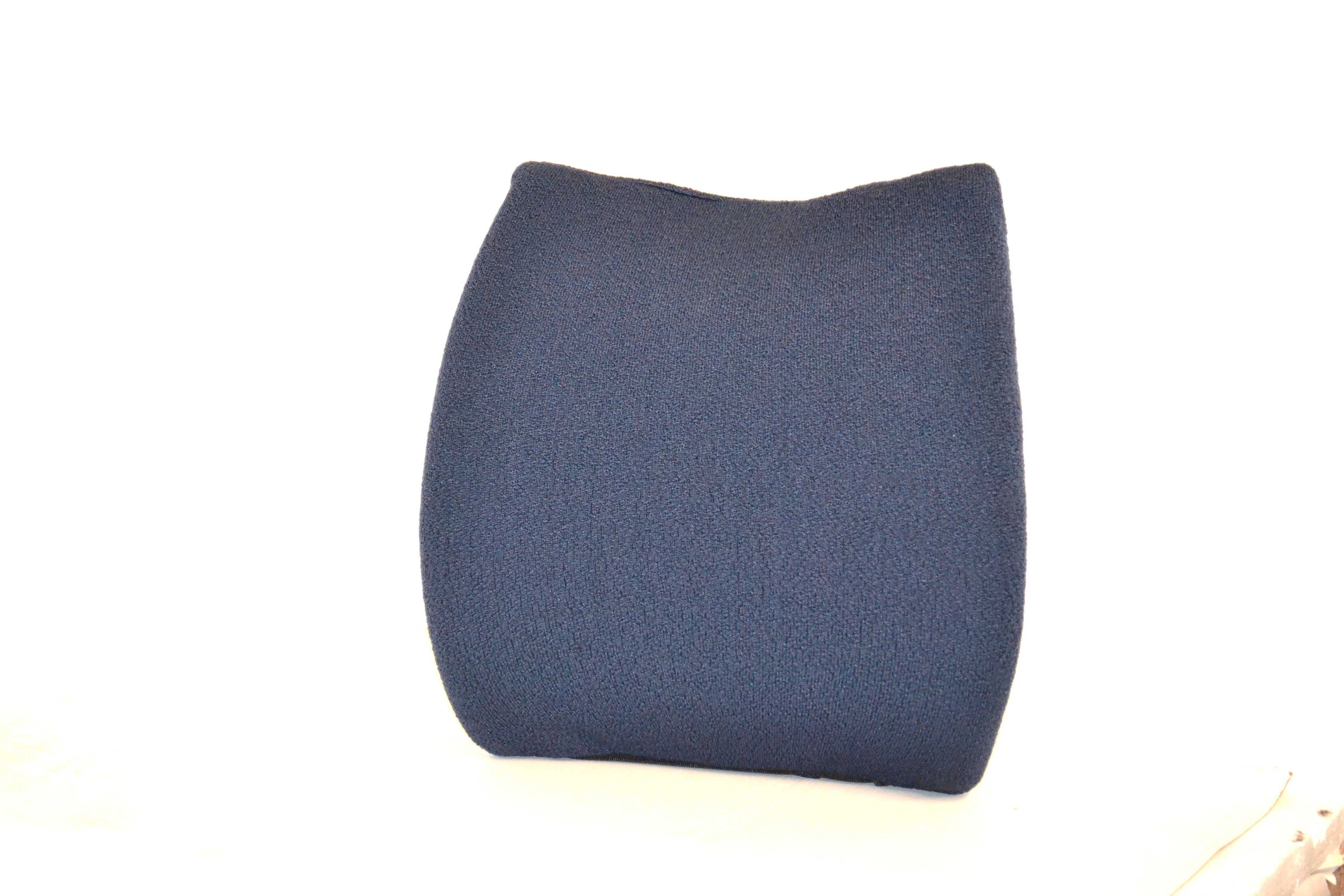 Sacro-Ease Memory Foam Back Support with Adjustable Strap | Wayfair