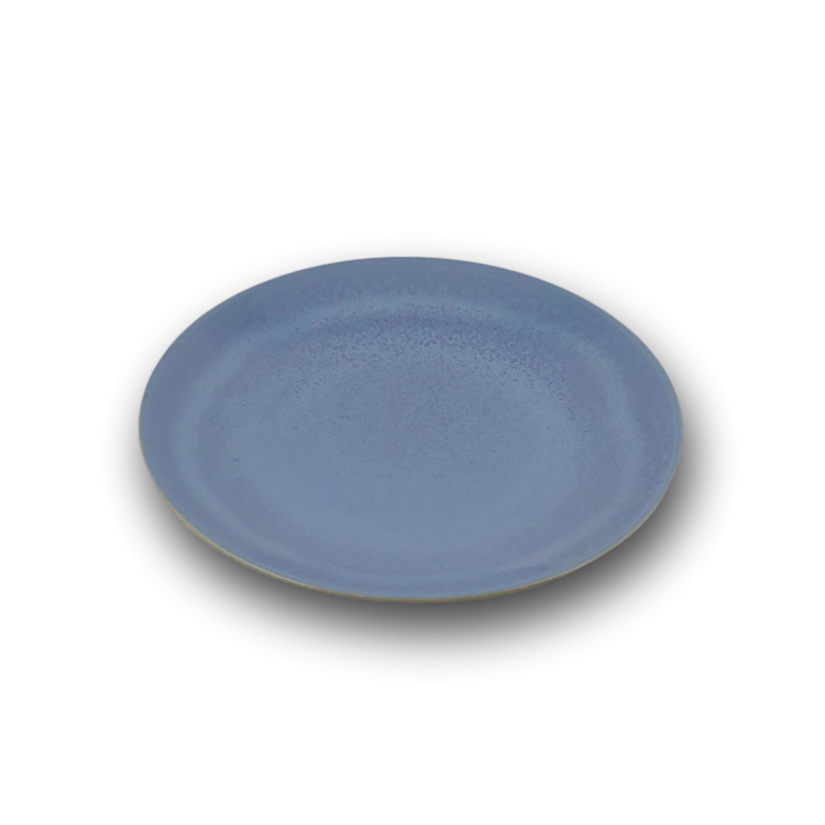 Birch Lane™ Padme Dinner Plate - Wayfair Canada