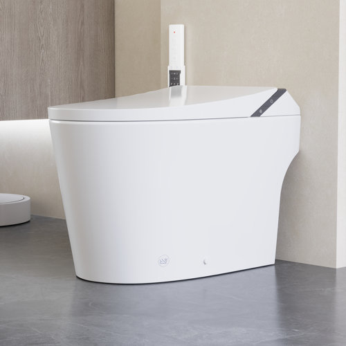 DeerValley Smart Toilet With Ada-Compliant Chair Height, Auto Flush ...