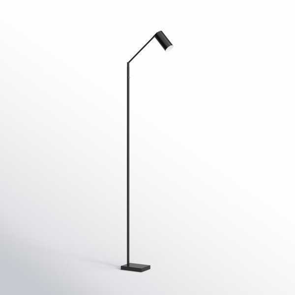AllModern Koen 69" LED Task/Reading Floor Lamp & Reviews | Wayfair