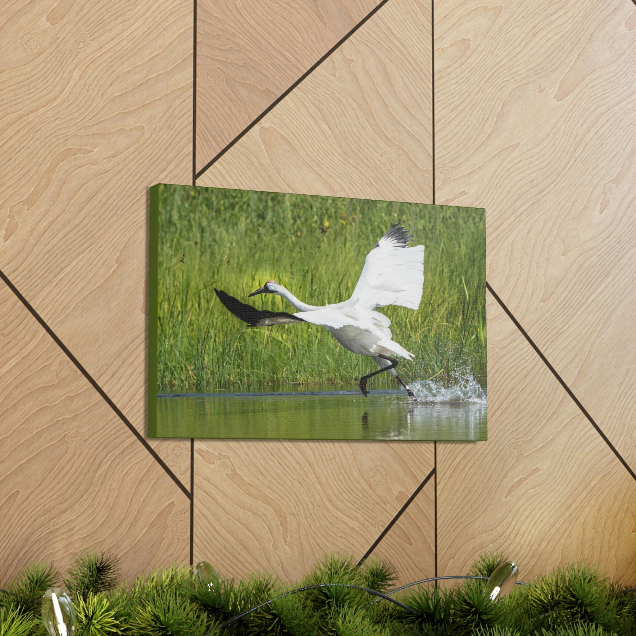 Beachcrest Home™ Whooping Crane Hunting Whooping Crane on Hunt Print ...
