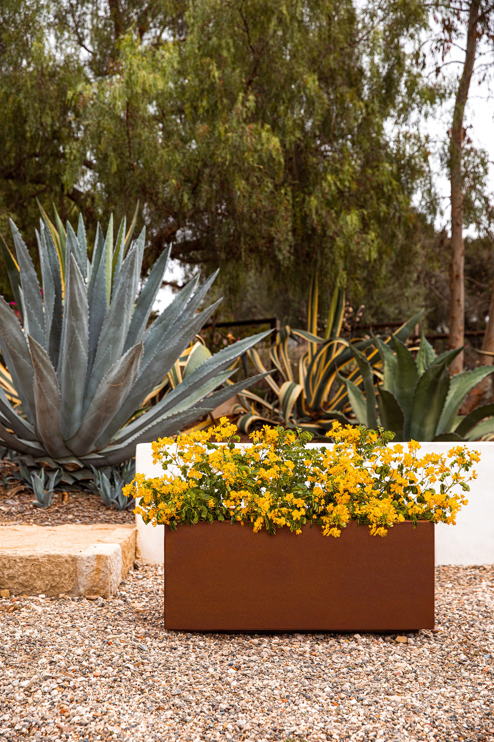 Veradek Corten Steel Series Long Box Planter & Reviews | Wayfair
