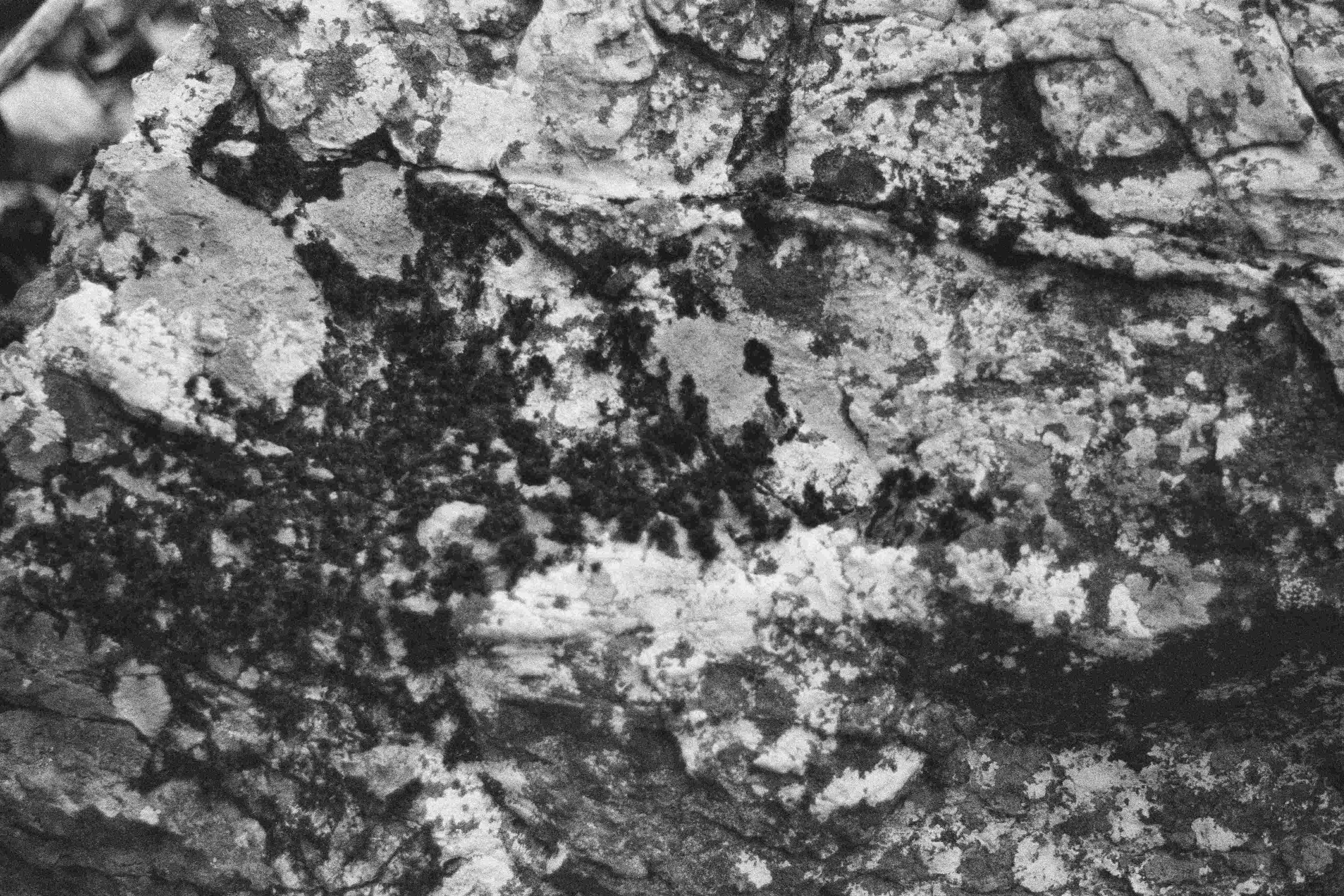 Ebern Designs Found Textures XX by Jason Johnson - Print - Wayfair Canada