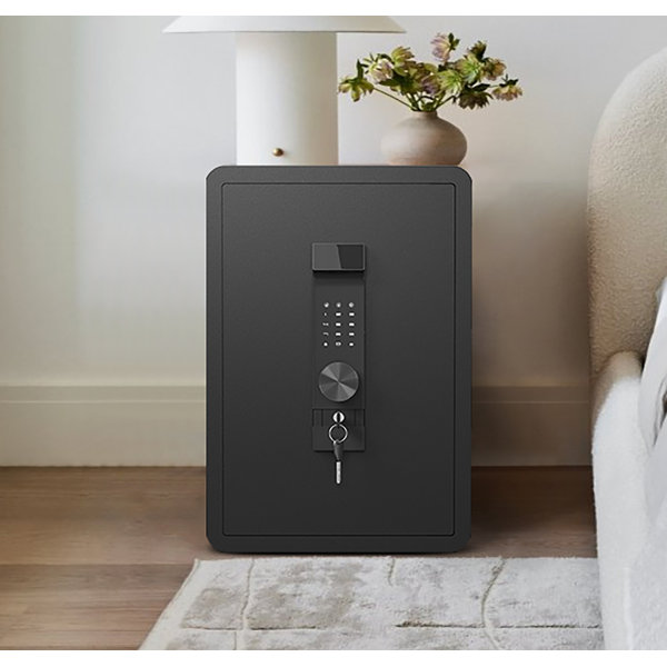 Yesurprise Security Safe Lock | Wayfair