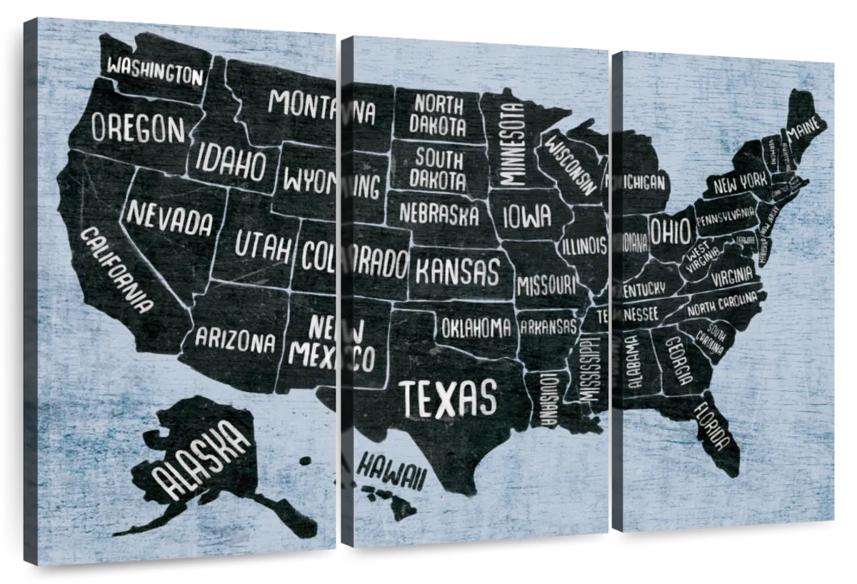 Trinx Keiri BW States USA Map | Wayfair