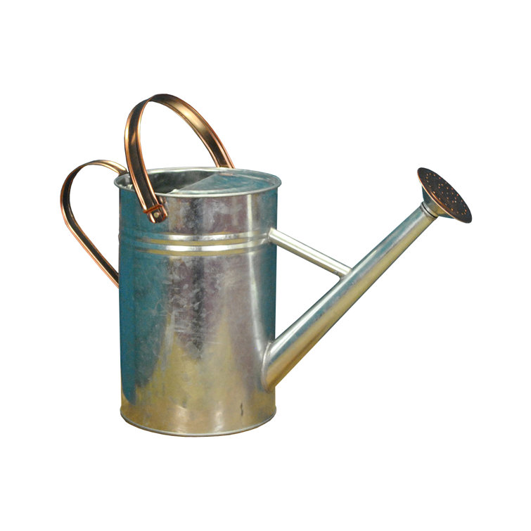 Selections Metal Watering Can | Wayfair.co.uk