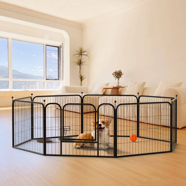 FXW 16 Panel Metal Exercise Pen With Door | Wayfair