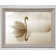Bright Star Lonesome Swan - Single Picture Frame Art Prints | Wayfair.co.uk