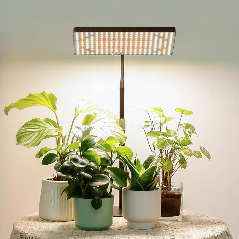 Kiflic Desk Grow Light, Full Spectrum Plant Light for Indoor Plants ...