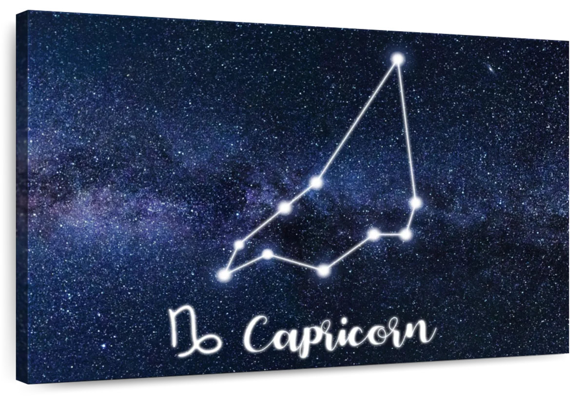 Dakota Fields Adella Capricorn Zodiac Constellation - Wayfair Canada