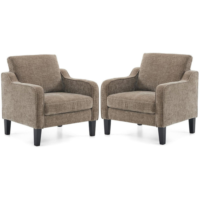 Red Barrel Studio® Accent Chairs Set of 2 Living Room Chairs Reading ...