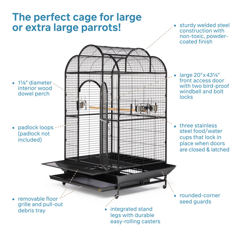 Tucker Murphy Pet™ Backes 78.25" Steel Victorian Floor Stand & Reviews ...