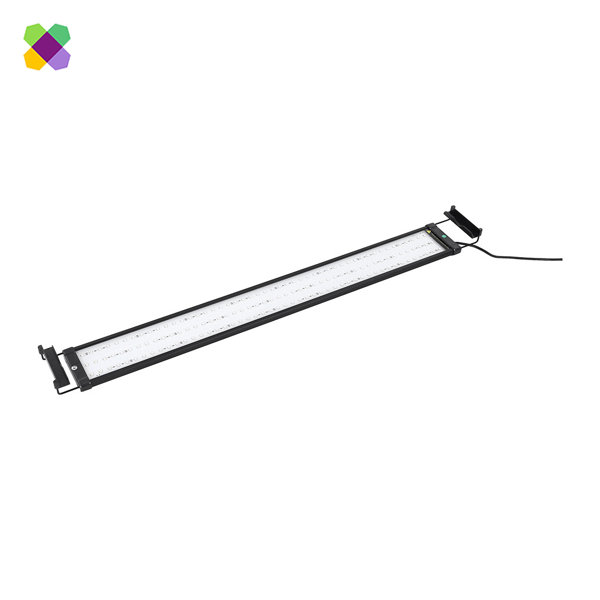 Tucker Murphy Pet™ Cyndle Aquarium Accessory | Wayfair