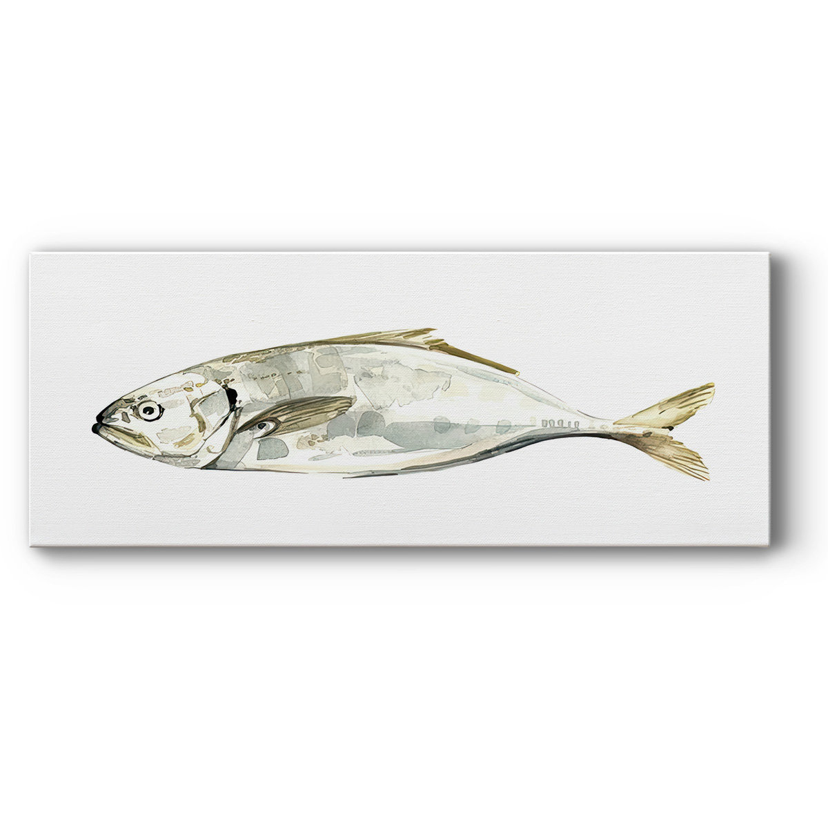Highland Dunes Silver Fish Iv On Canvas Print | Wayfair