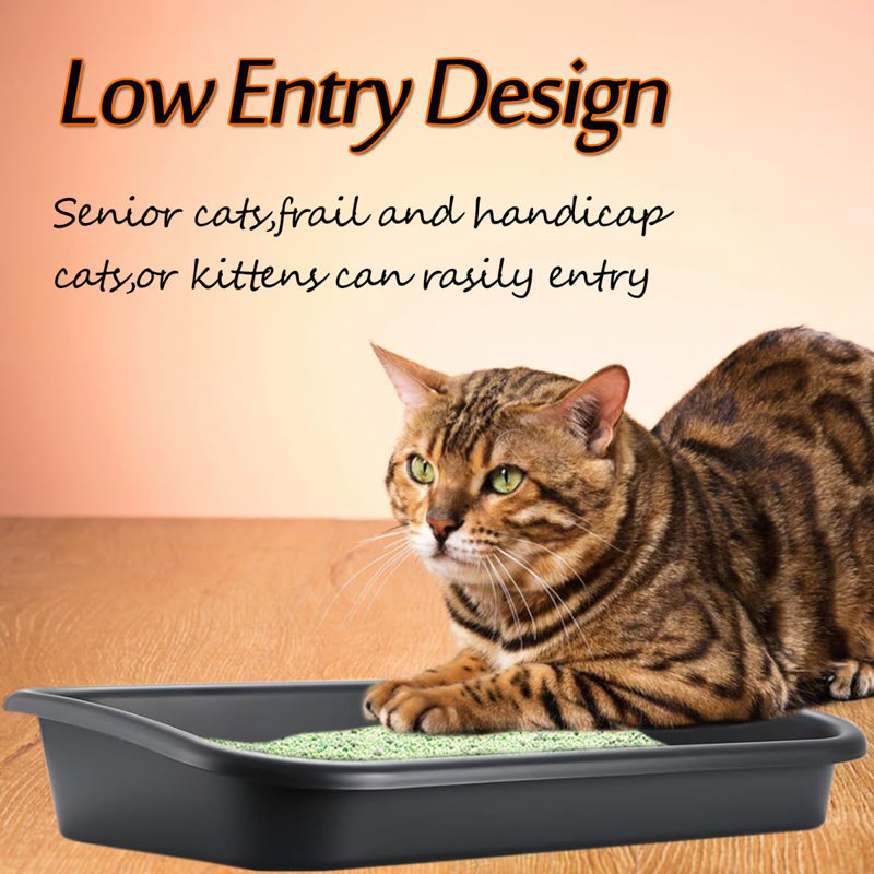 Tucker Murphy Pet™ Set of 3 Low-Entry Senior Cat Litter Boxes | Wayfair