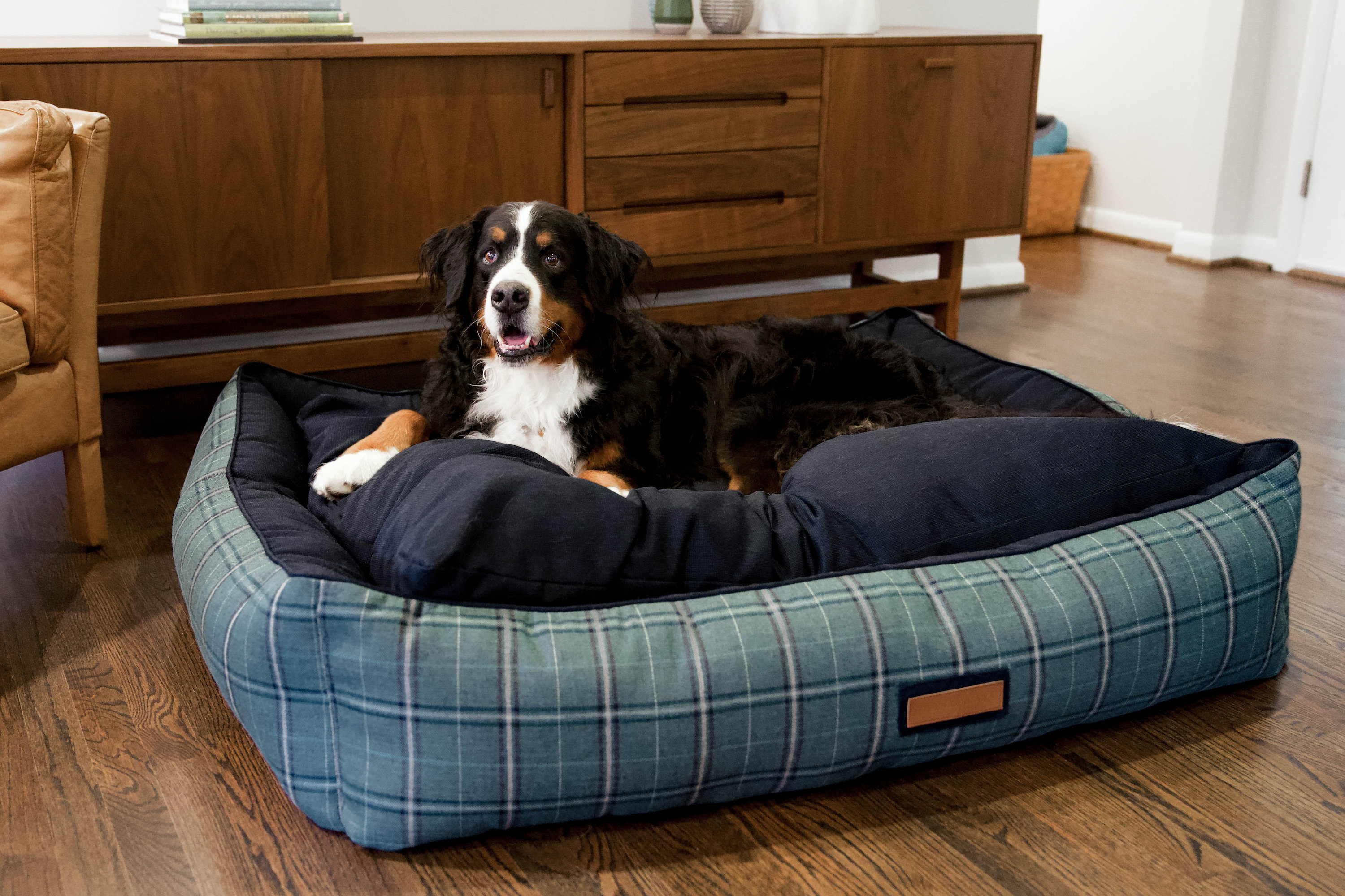 TheHoundry Hugger Pet Bed in Sunbrella Peacock Pooch - Wayfair Canada