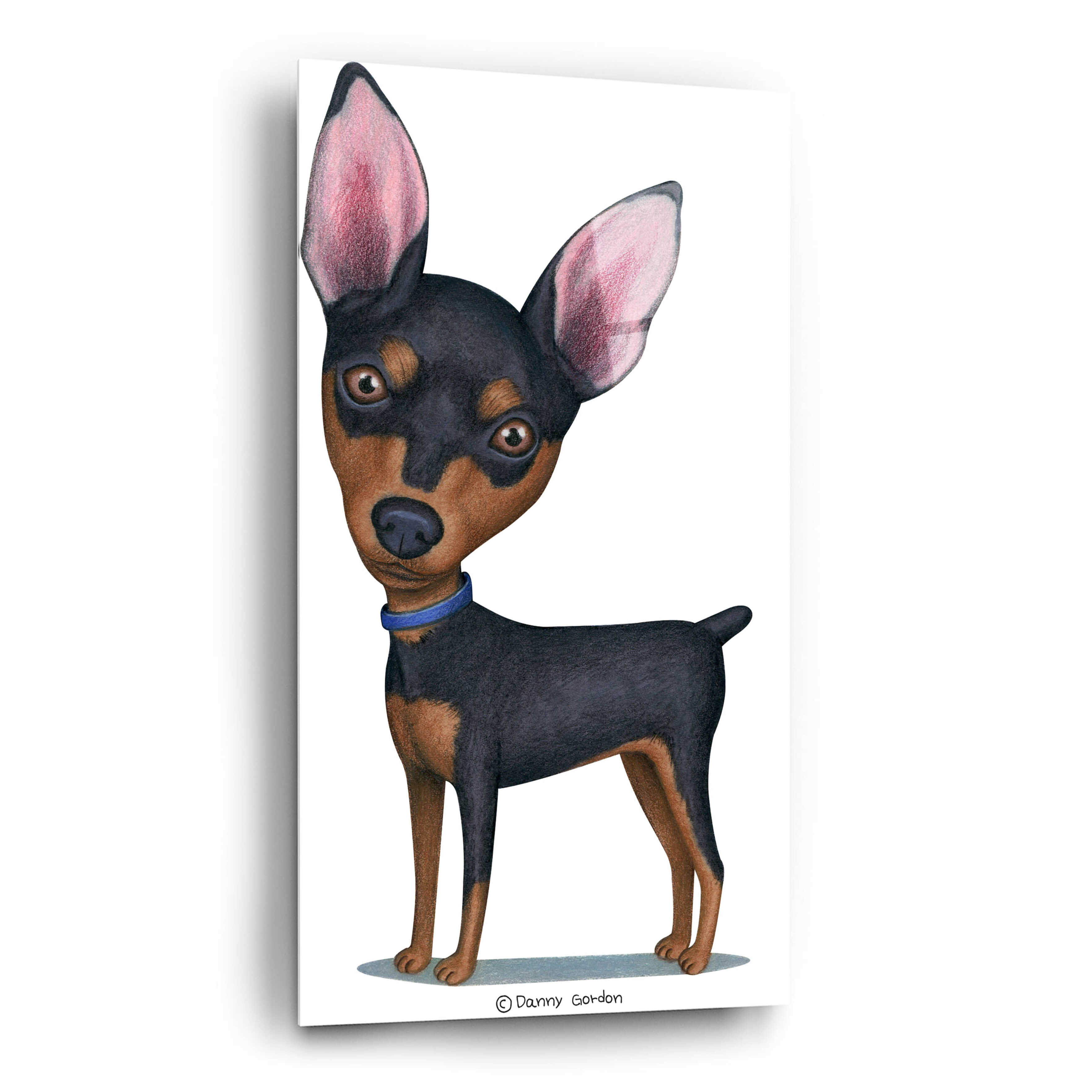 Trinx Miniature Pinscher Blue Collar On Plastic/Acrylic Print | Wayfair