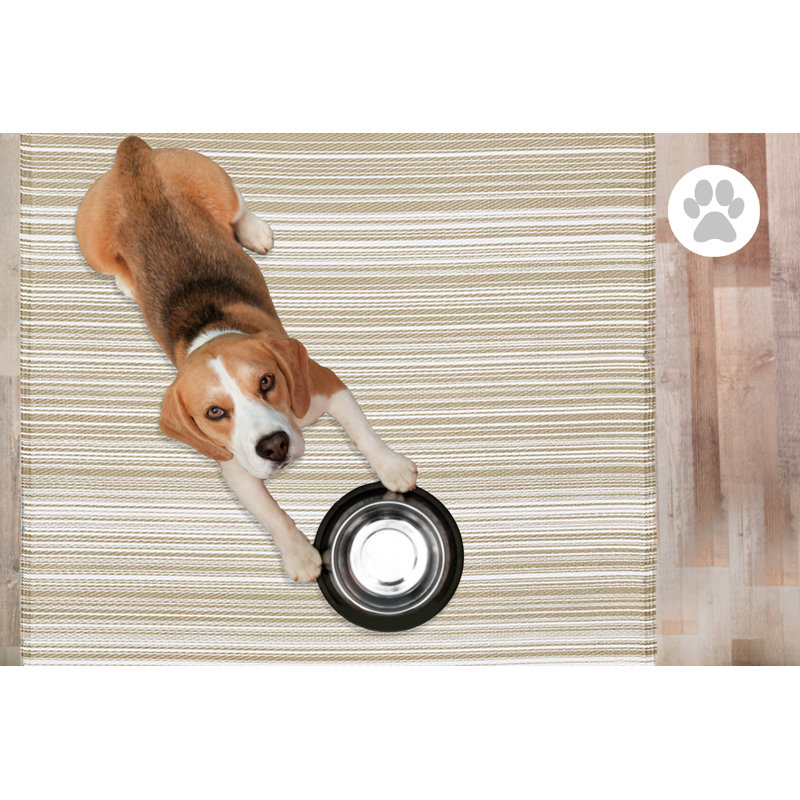 Gracie Oaks Outdoor Rug Recycled Plastic Waterproof Patio - Amariea ...