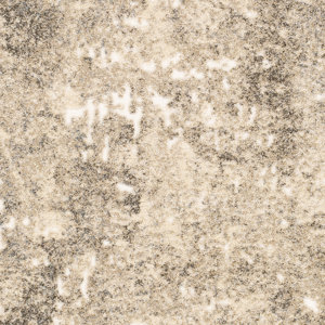 Williston Forge Bartol Area Rug & Reviews | Wayfair