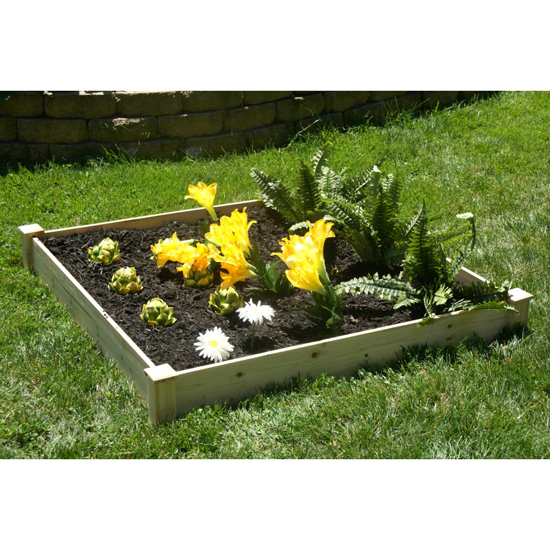 August Grove® Konkol 4 ft x 4 ft Wood Raised Garden Bed | Wayfair
