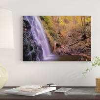 Millwood Pines 'Autumn River' Photographic Print on Canvas & Reviews ...