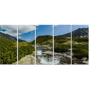 DesignArt Alpine Stream in High Mountains 5 Piece Wall Art on Wrapped ...