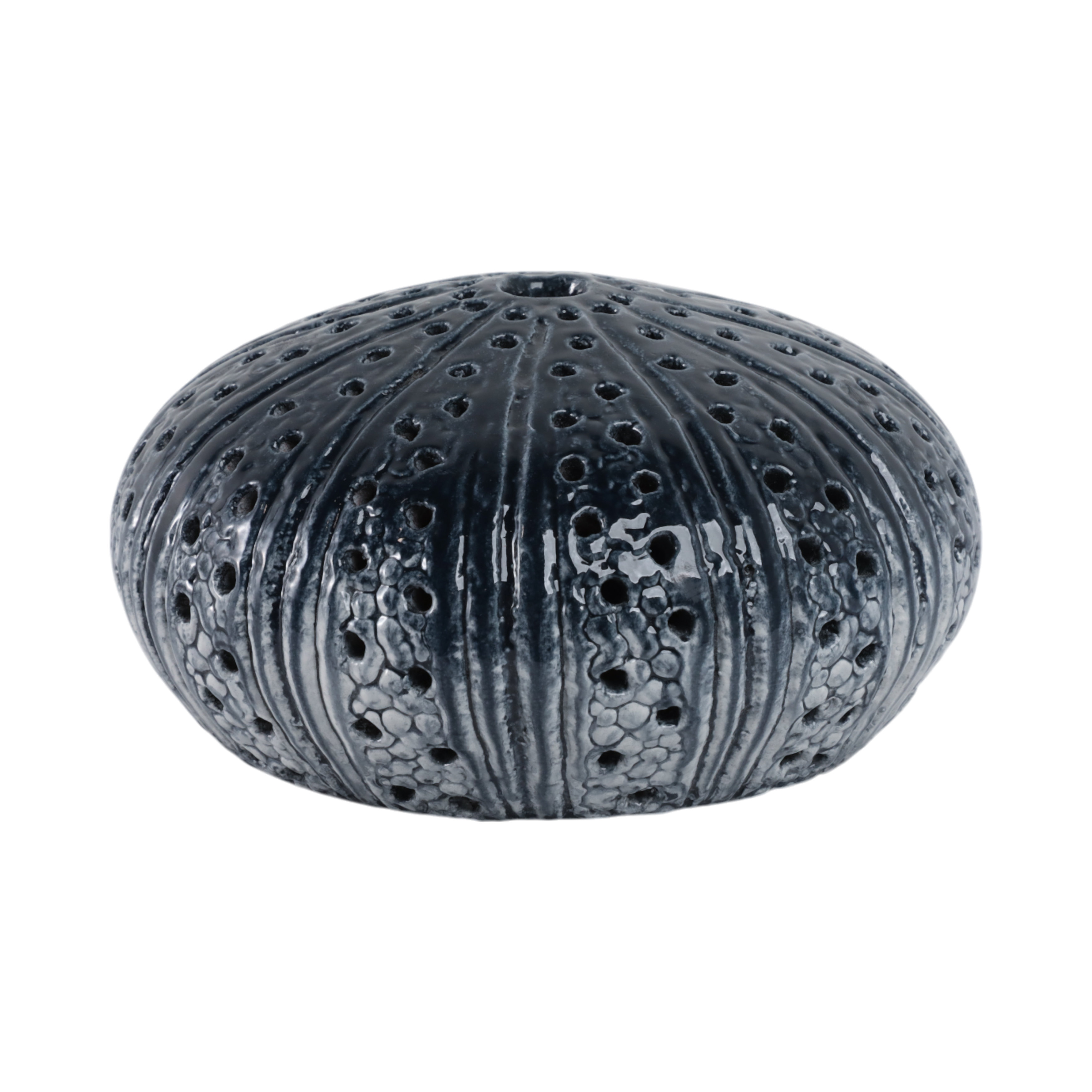 Dovecove Sea Urchin Object Reactive Finish, Blue | Wayfair