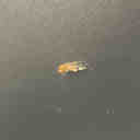 HOMEIBRO Chic Cove Shaker 2-Door Armoire With Drawers & Reviews | Wayfair