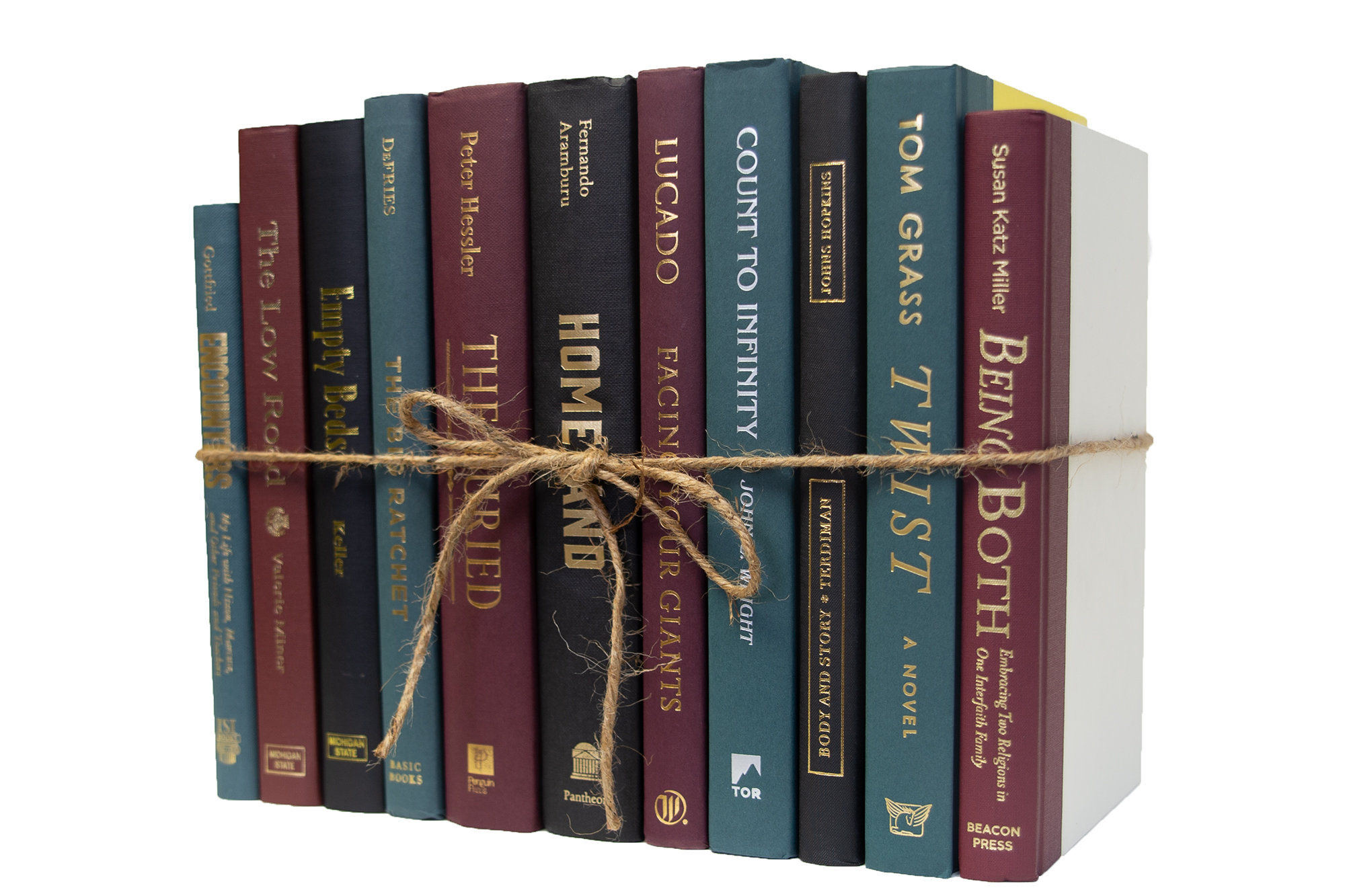 Ebern Designs Juney Decorative Book Set & Reviews | Wayfair