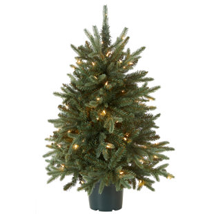 3 Foot Christmas Trees You'll Love | Wayfair