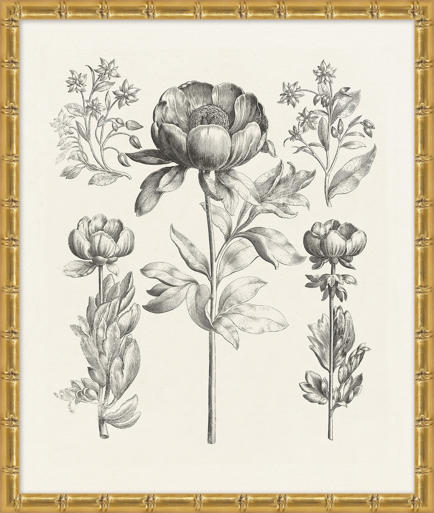 Lillian August Bessler Study Neutral 4' Framed Graphic Art Print on ...