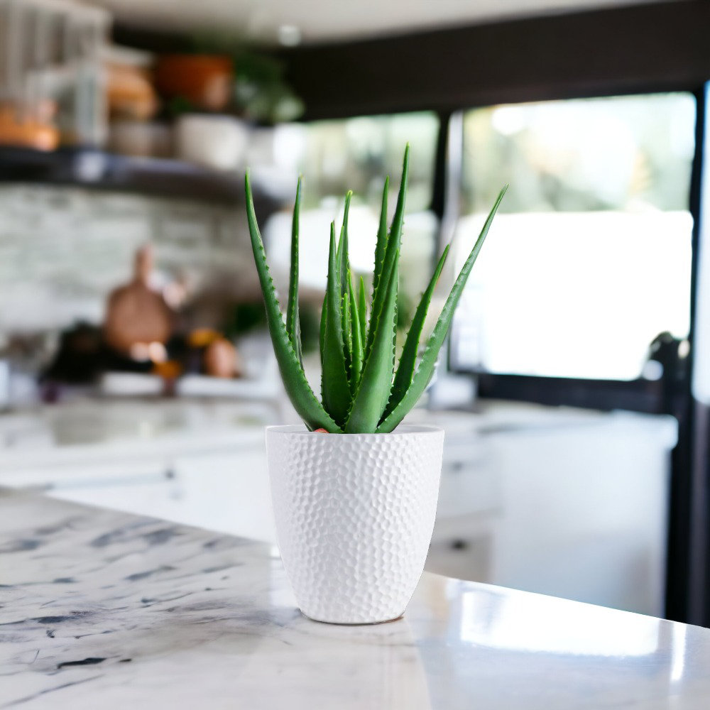 George Oliver Joffrette Ceramic Table Vase - Wayfair Canada