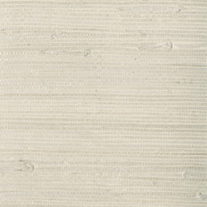 Sand & Stable™ Harold Grasscloth 24' x 36" Wallpaper & Reviews ...