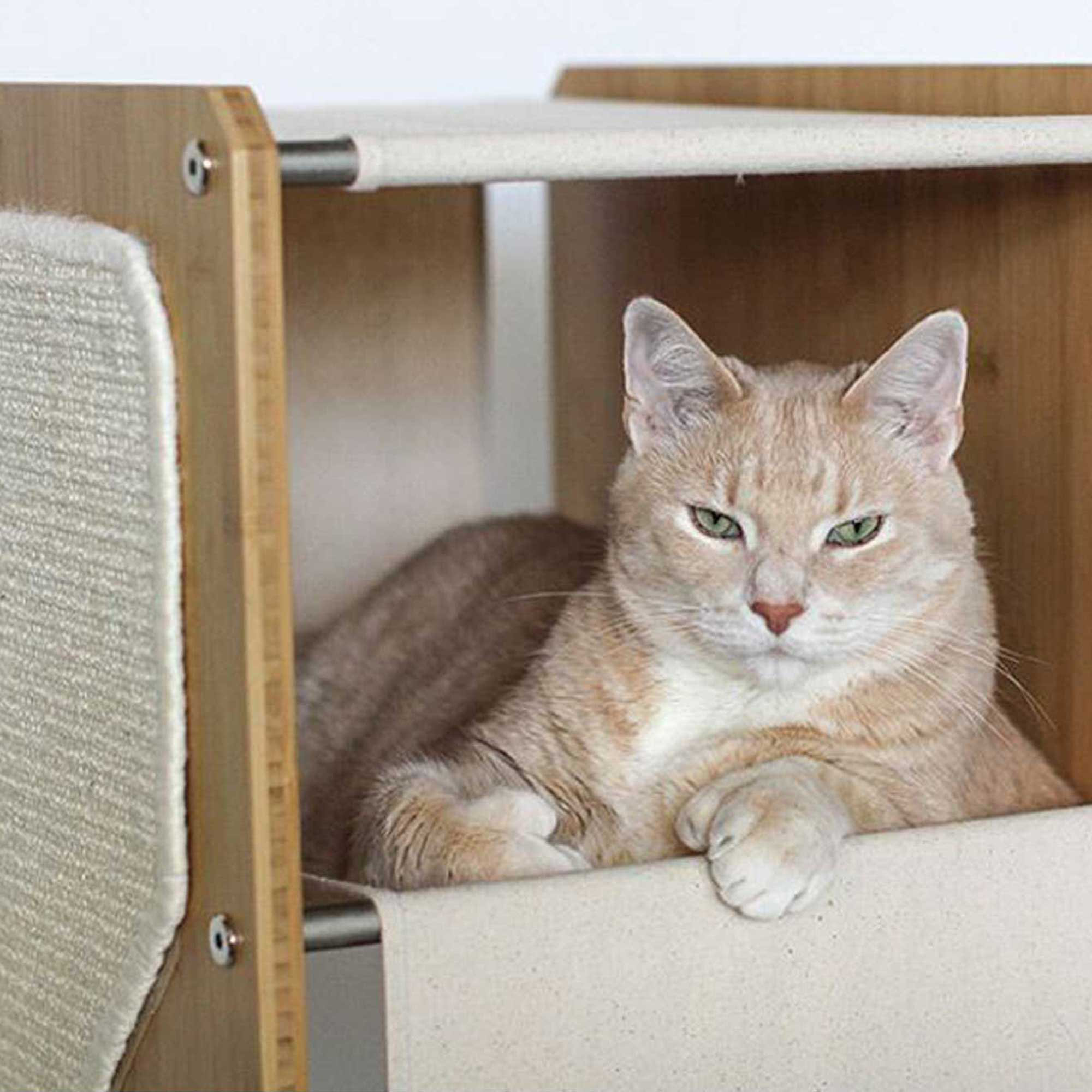 CatastrophiCreations 22" Grotto Cat Condo | Wayfair