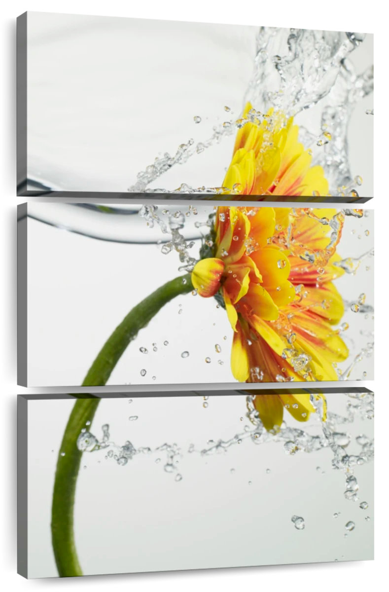 Lark Manor™ Harnek Daisy Water Splash | Wayfair