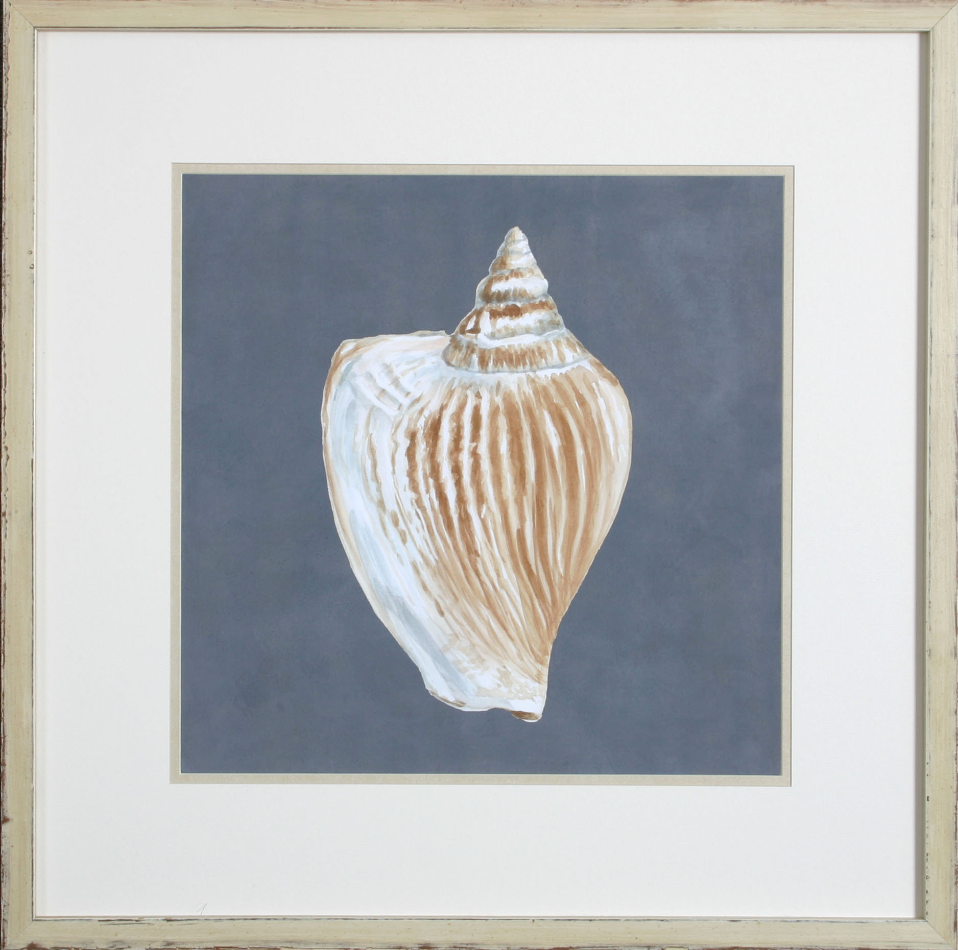 Shadow Catchers Shell on Slate VI by Meagher - Picture Frame Drawing ...