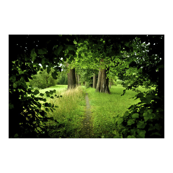 East Urban Home Hidden Light 2.25m x 3.36m Textured Matte Peel & Stick ...