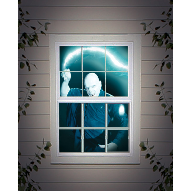 NA Harry Potter Voldemort Window Cover - Wayfair Canada