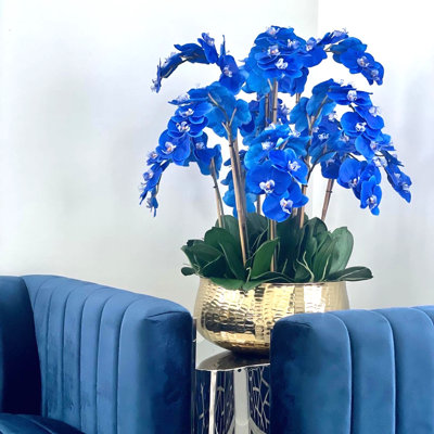 CFADesignGroup Roberi Orchid Arrangement in Pot & Reviews | Wayfair