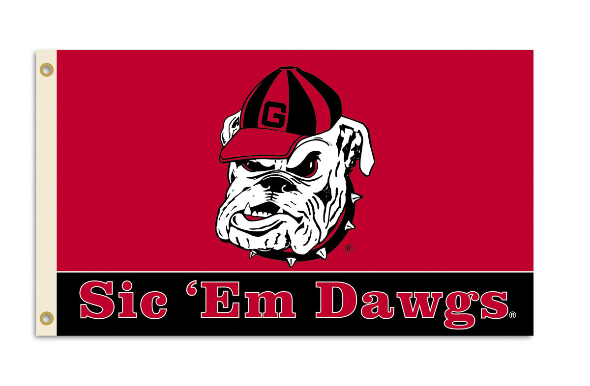 BSI Products NCAA Traditional Flag & Reviews - Wayfair Canada