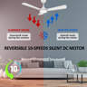 Ivy Bronx Dechlan 52'' Smart DC Motor Ceiling Fan with LED Lights and ...