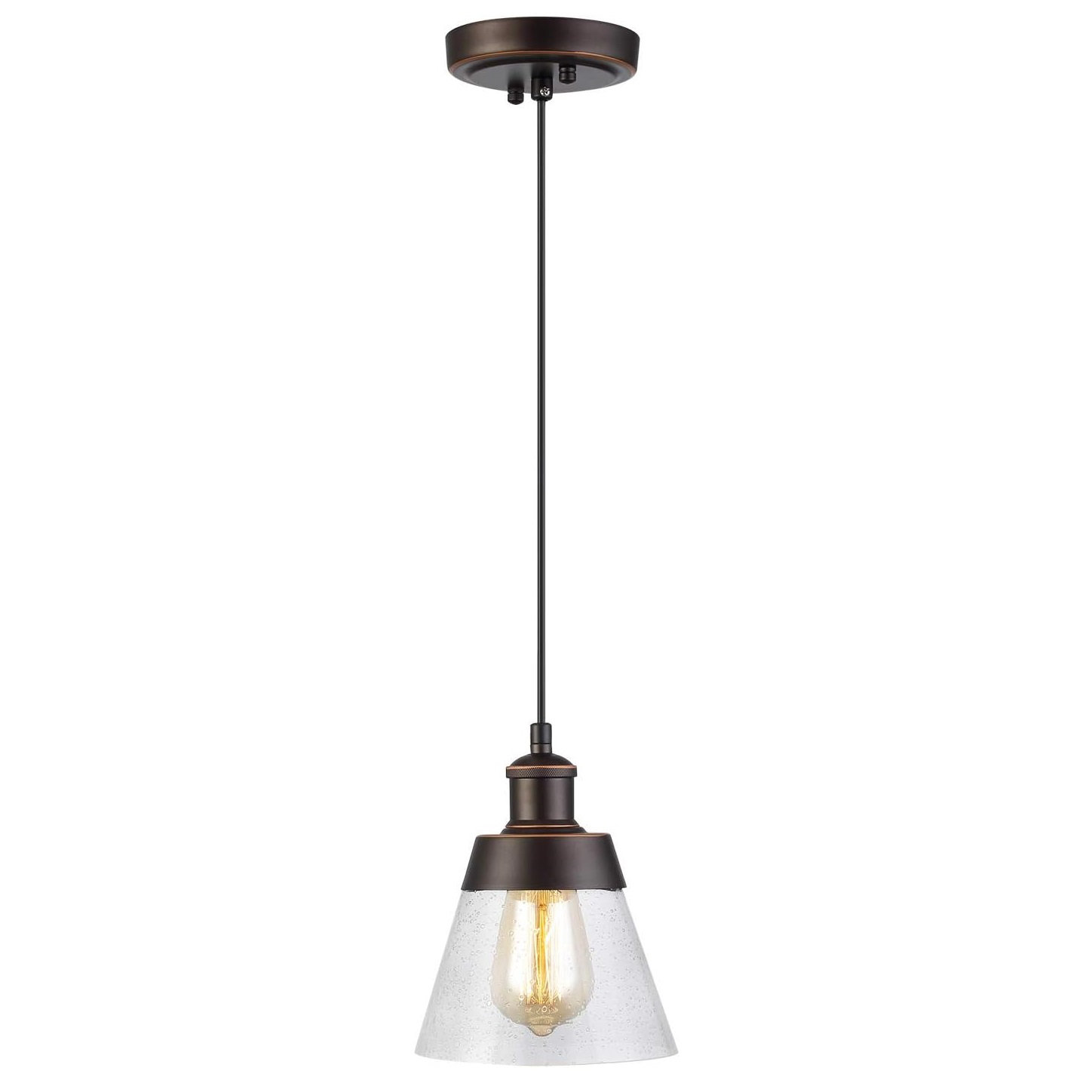 Breakwater Bay Rustic Glass Pendant Light with Handblown Clear Seeded ...