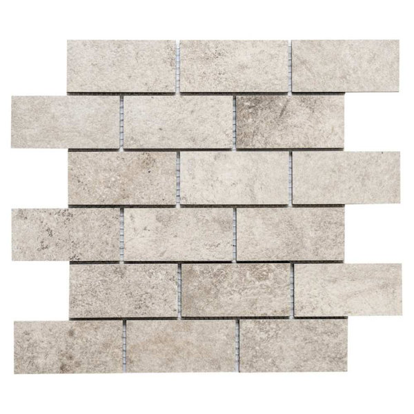 Long Island Mosaics & Tile The Wilds 2" x 4" Porcelain Mosaic Wall ...