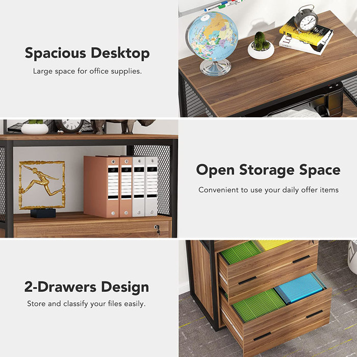 Inbox Zero 23.6'' Wide 2 -Drawer File Cabinet & Reviews | Wayfair