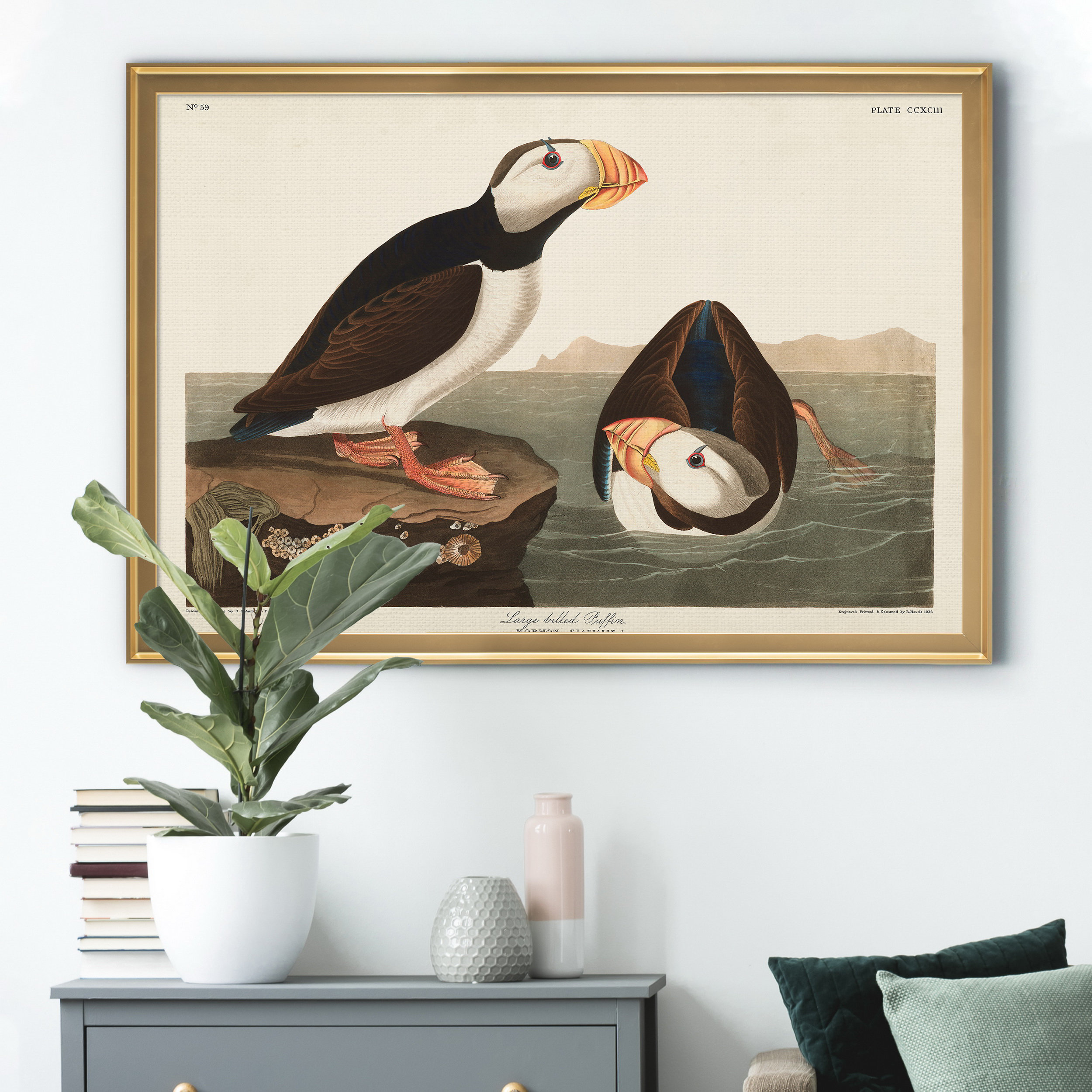 August Grove Large Billed Puffin - Picture Frame Print on Canvas ...