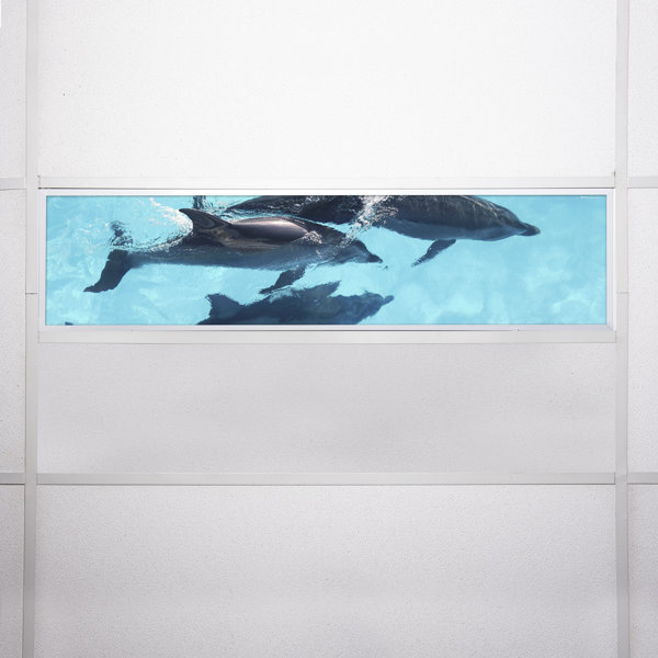 Octo Lights Ocean Rectangle Fixture Component Ceiling Light | Wayfair