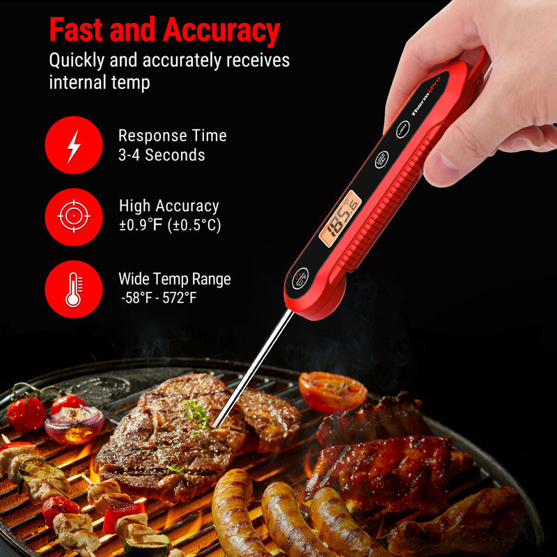 ThermoPro Thermometer | Wayfair